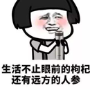 有老婆的饼 