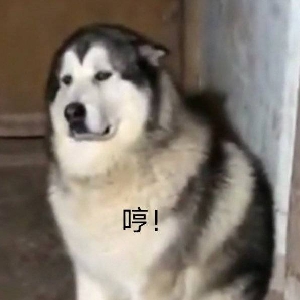 山顶洞人之山 