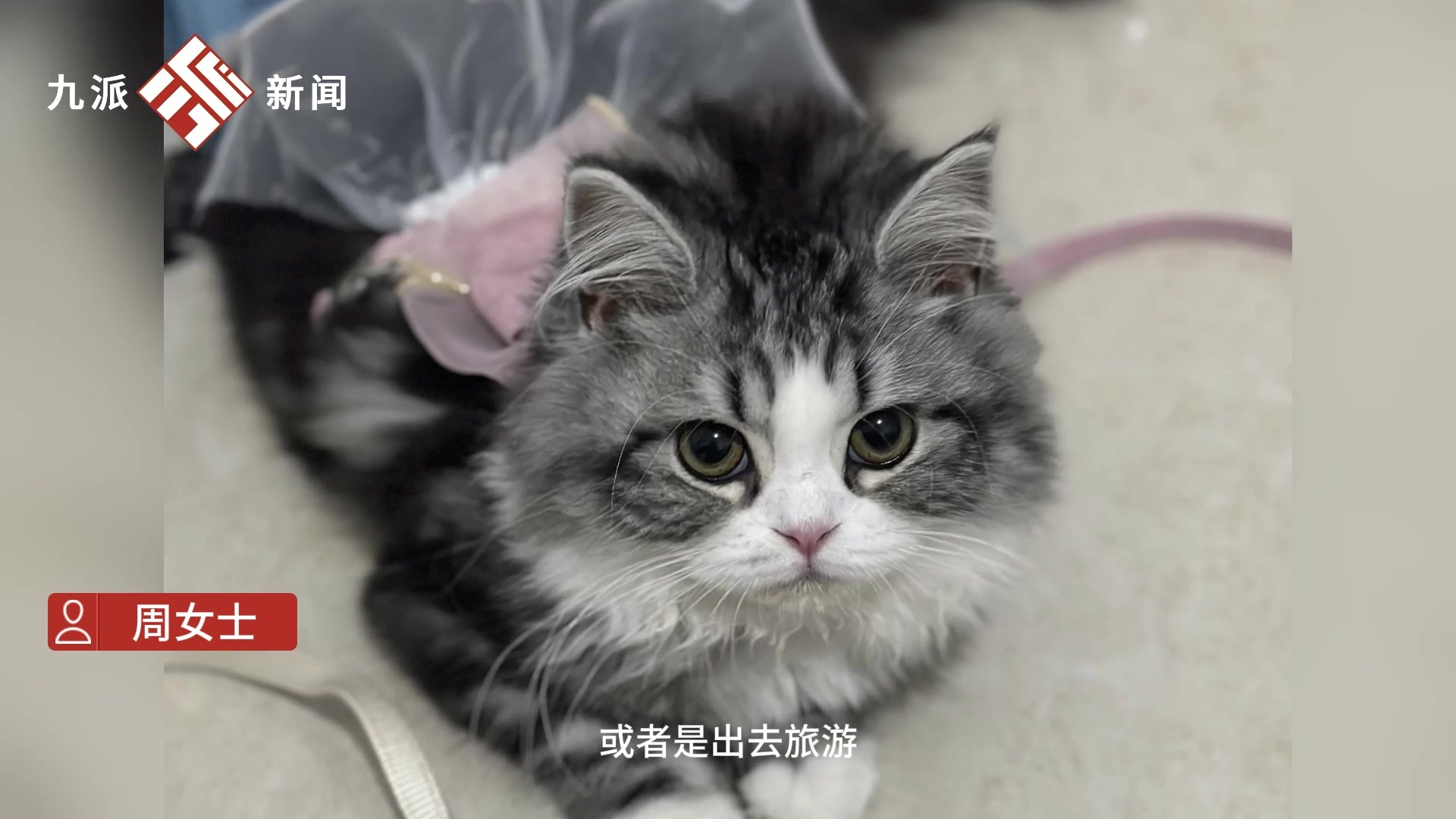 ...兼职女孩:已有20多个客户在咨询,专门用电子表格记录好每个客户的...