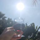 第二梦说娱乐 