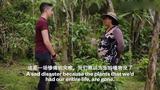 VICE 直击:优质咖啡绝种危机 历史的发展,过程