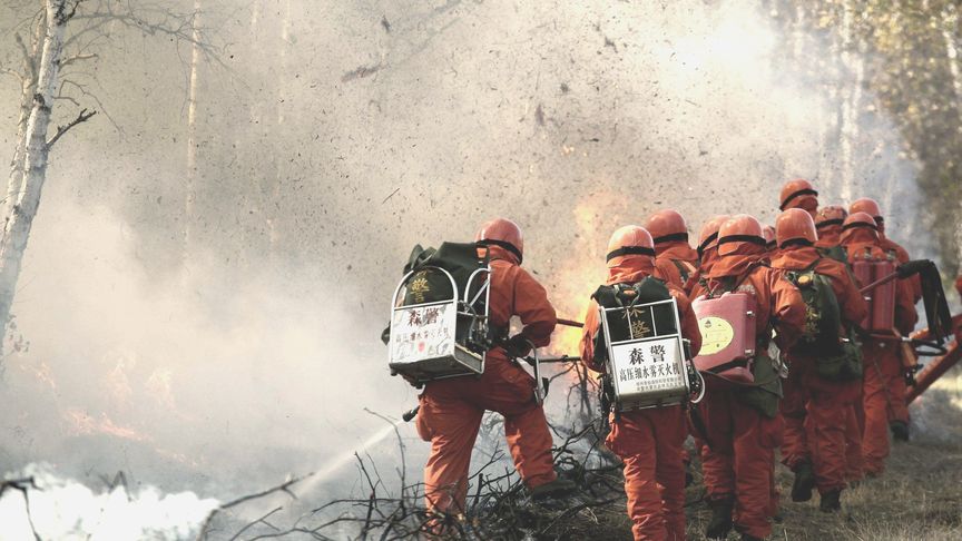 用科学方法统筹谋划,做好森林防火工作