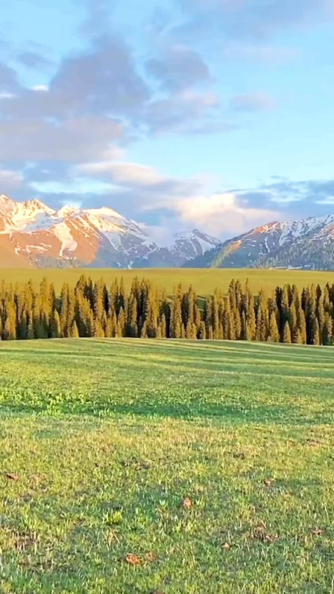 无论何时何地,我们都需要坚定信念