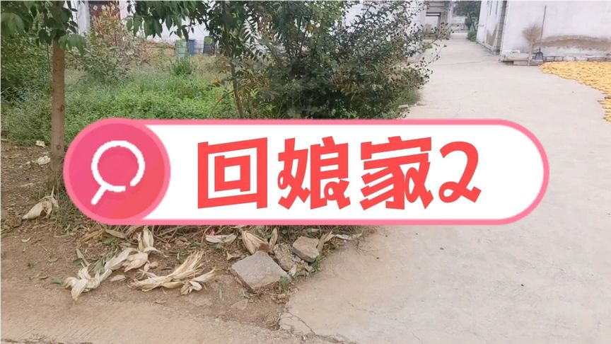 爸妈的二轮电动车在家里放8年了我拿来骑一下先要来我婶家拿钥匙