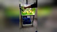 POKPO虹吸器+滴流底滤调节起动演示(鱼缸不打孔改虹吸底滤)