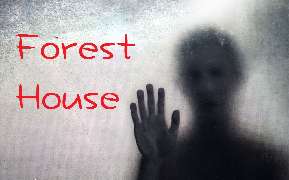 和朋友一起玩《我的世界:森林小屋》