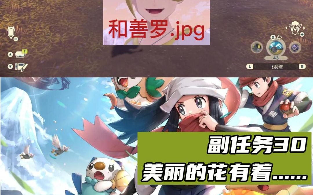 阿尔宙斯支线任务系列2副任务30