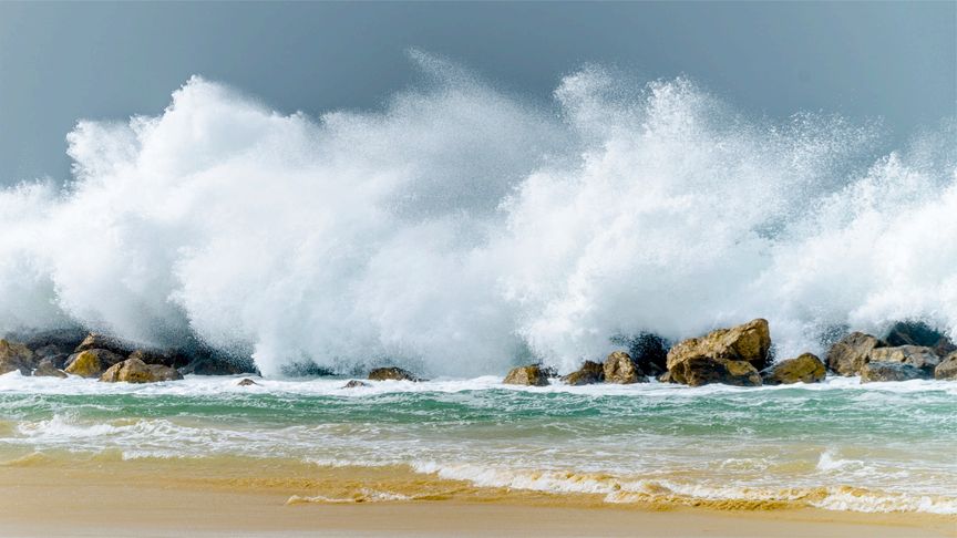 成功的秘诀在于永不改变既定的目标。