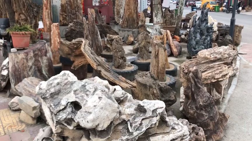 奇石木化石树化玉来了解一下