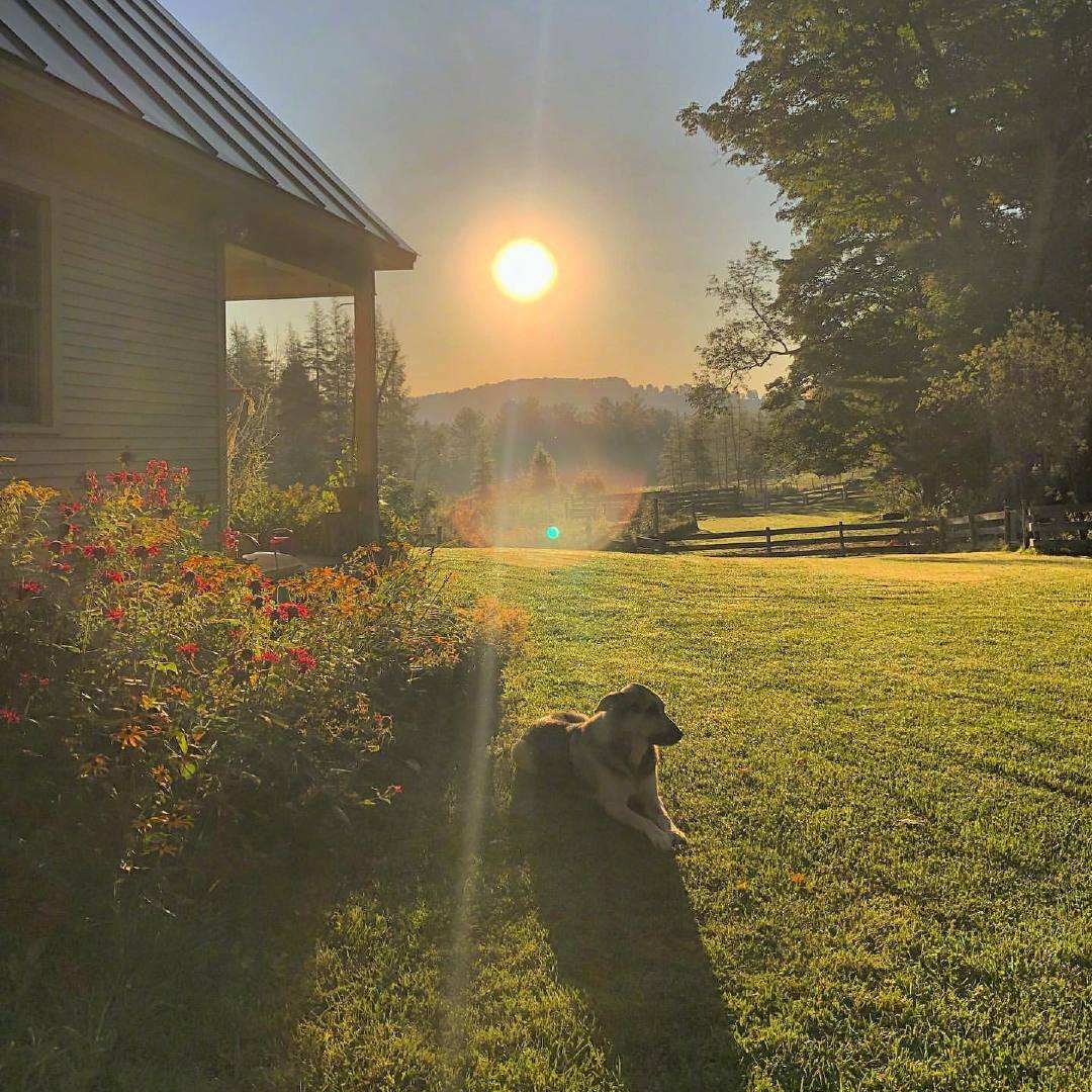 可可爱爱的田园 