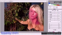 ps教程ps零基础教程Photoshop教程psps入门教程psACR滤镜 画笔...