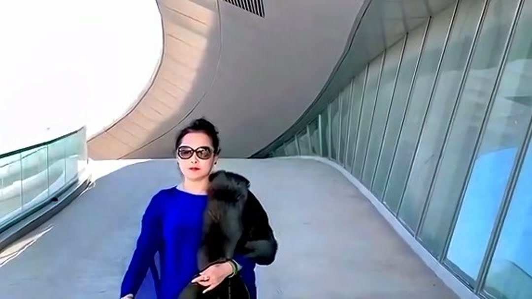 本人67年的羊,身高1米6,体重110斤,既然刷到了,就证明我们有缘份,你是...