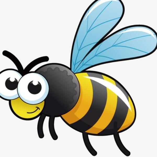 大黄蜂博主 
