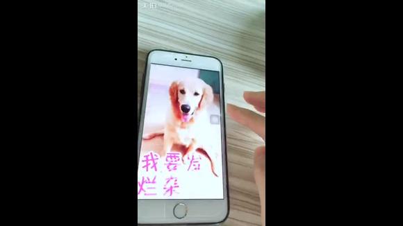 微信小程序原来这么好玩,还可以DIY原创表情包～
