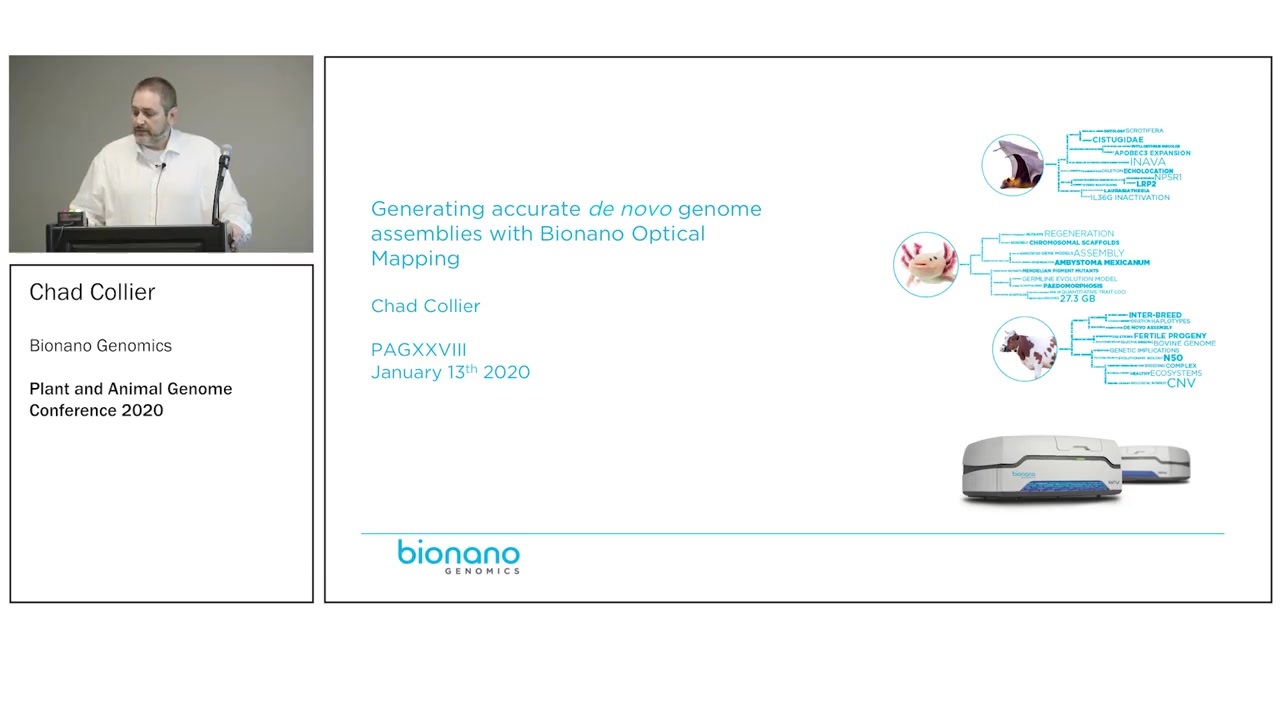 BioNano光学图谱技术应用于动物基因组组装--机翻中英双字幕【...