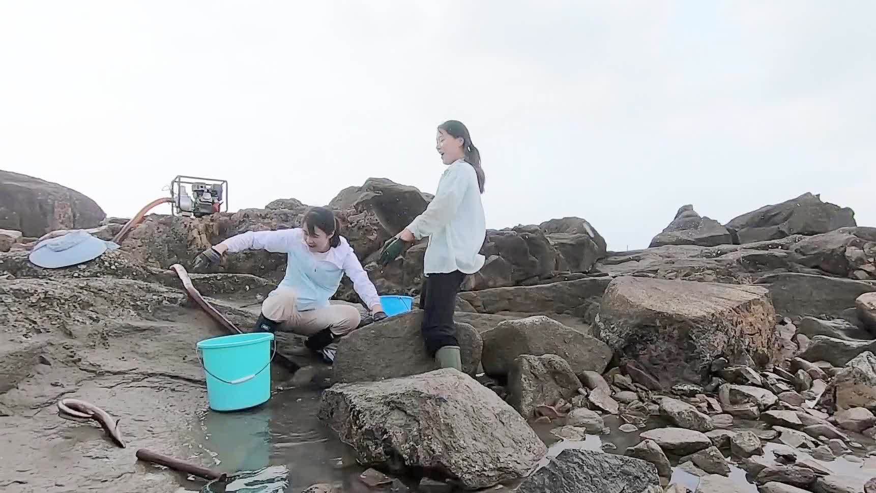 大货吃太胖被卡在石洞,猪猪皮皮携手拉大货,坑内巨物被一扫而空