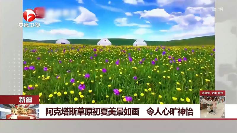 新疆:阿克塔斯草原初夏美景如画,令人心旷神怡