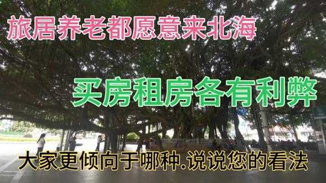 旅居养老都愿意来北海,买房租房各有利弊,你更倾向于哪种?