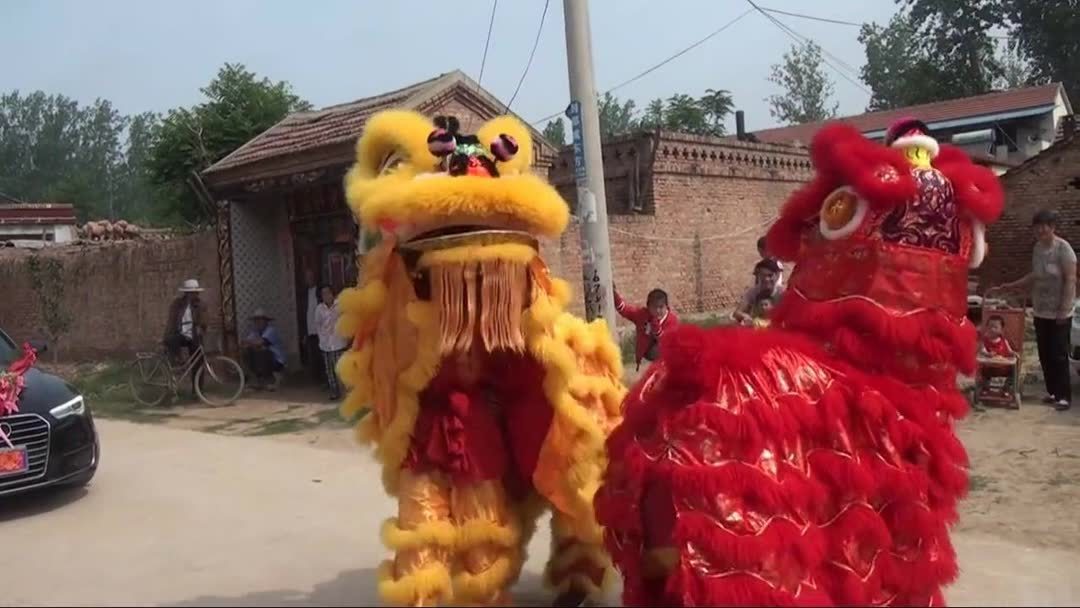 河南农村一家嫁女,请来专业的舞狮队表演,人们都说好看