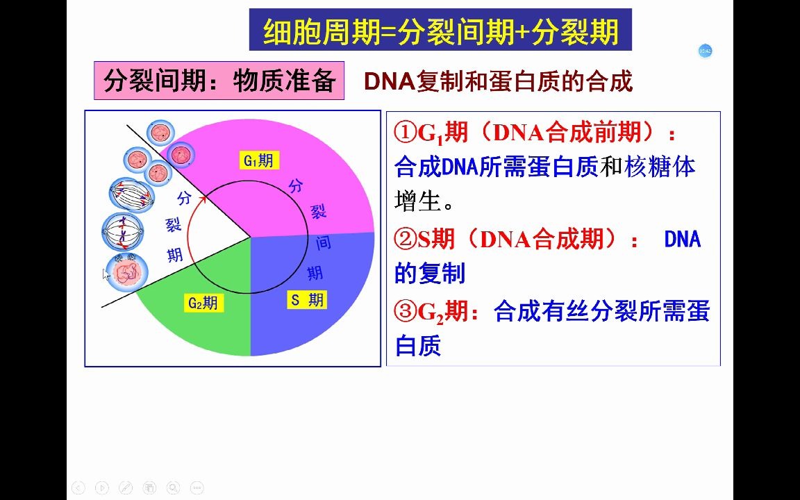 高中生物必修一(浙科版)4.1 细胞增殖1(细胞周期)