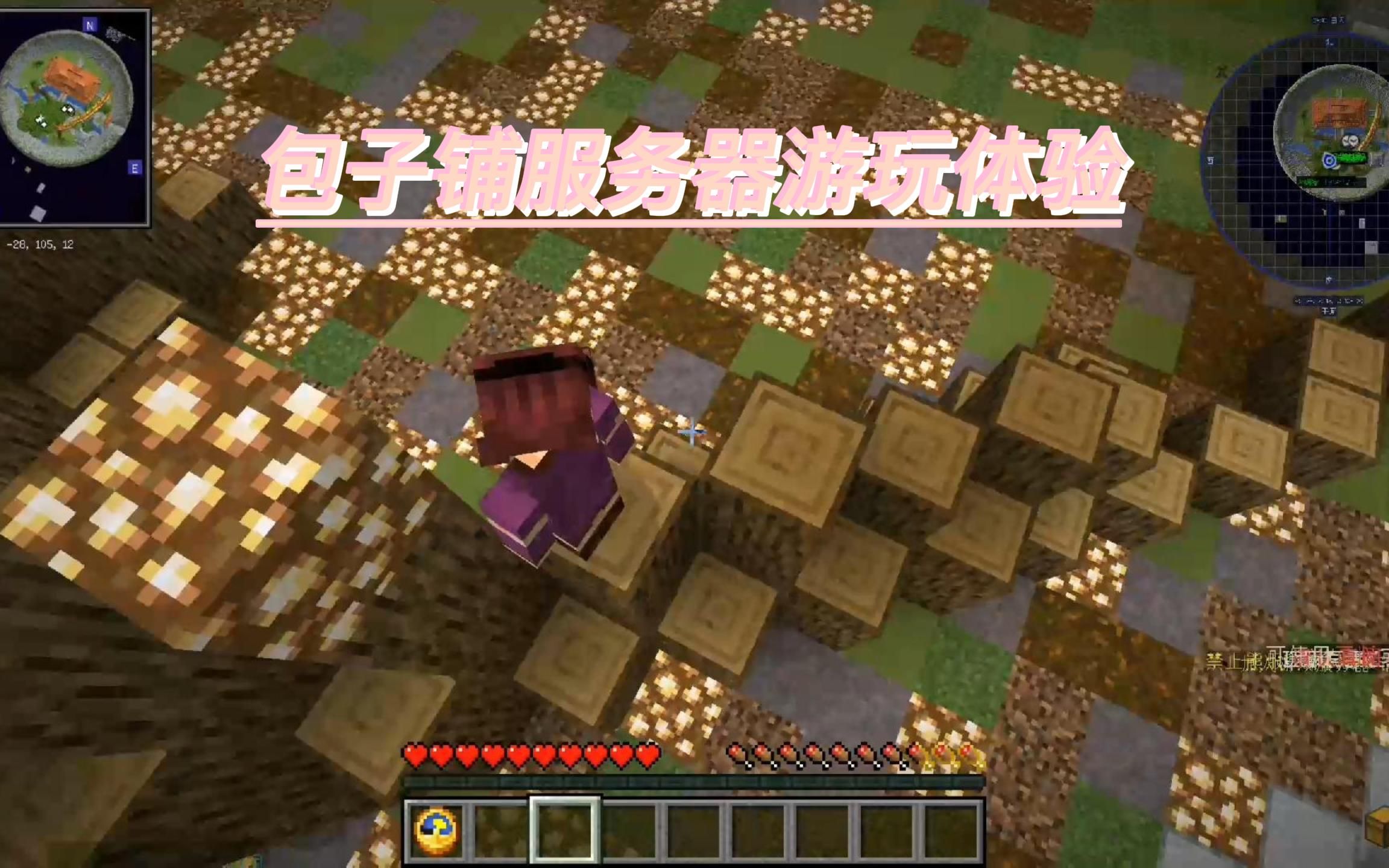 包子铺服务器游玩体验,经常掉线。