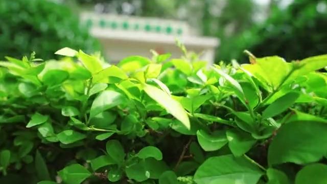 #垃圾分类 我们在行动!绿色时尚,在你我之间传递.