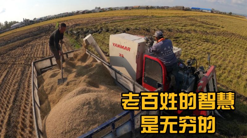 2020追逐收获第二季:水稻收获遇阴雨天怎么办?龙江人民教你绝招