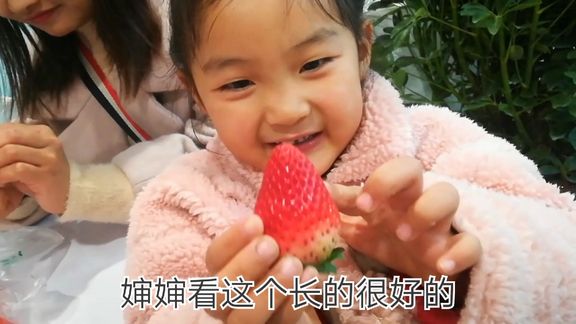 草莓20元一斤,给以后买了十几个,看看多少钱。