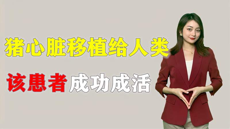 全世界首例猪心脏移植给人类,该患者术后两月,宣布死亡