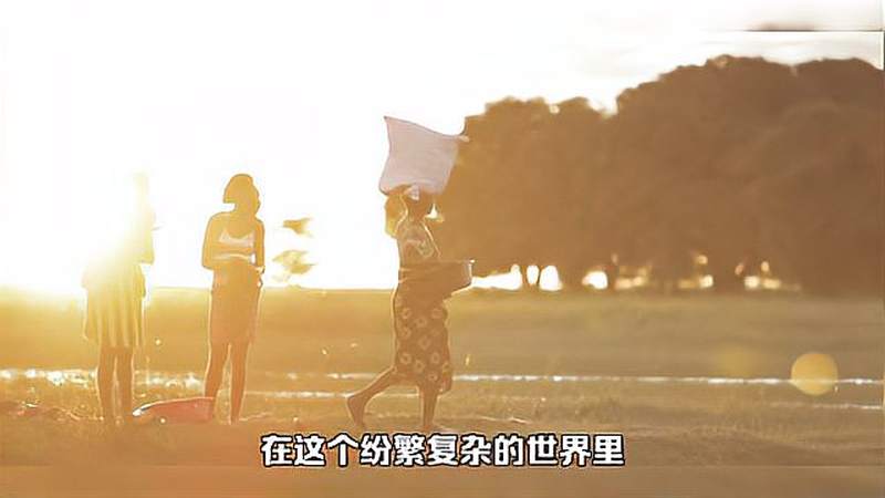 果断而有专注力的星座,信念坚定,目标明确,默默付出不求回报