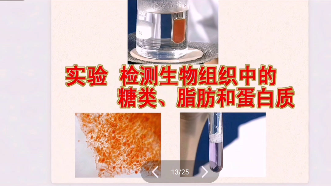 高一实验:检测生物组织中的糖类、脂肪、蛋白质