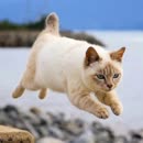 学习中的数学小课堂 