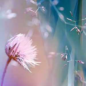 触动心弦的情话 