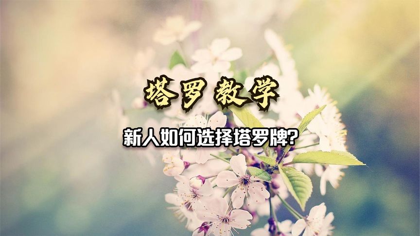 塔罗篇教学新手如何选择塔罗牌学习?