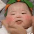 洋学长 
