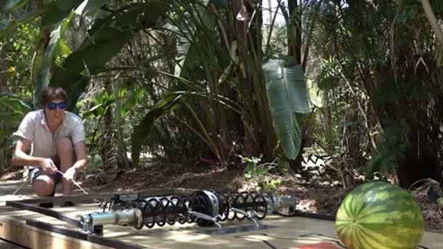 捕鼠夹只能捕老鼠?老外自制巨型捕鼠夹,网友:这是捕野猪的吧