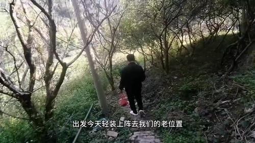 钓鱼标点一但透露,第二天钓位觉得对不起半脑