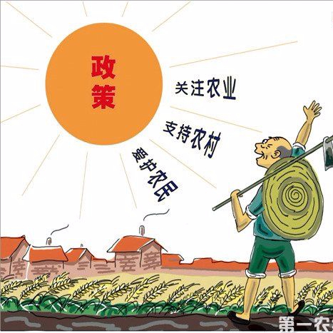 三农网 
