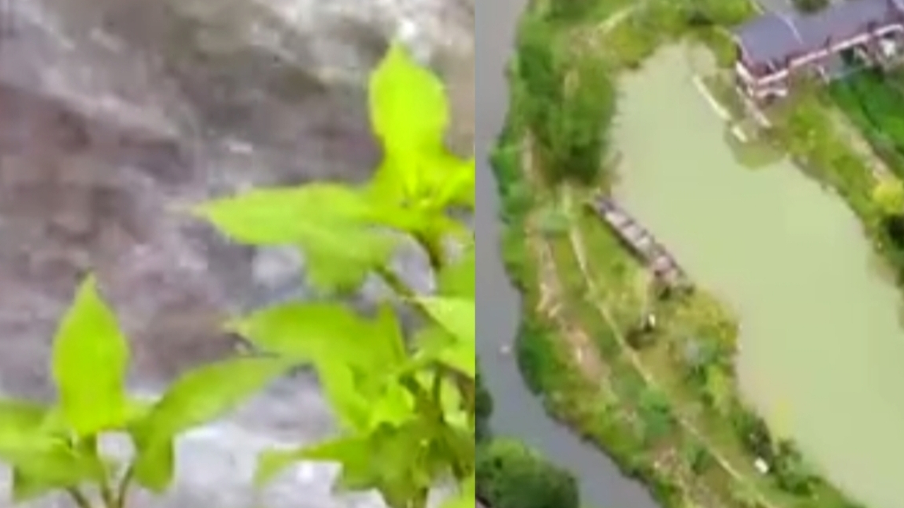 福建“中国最绿”?!连续42年森林覆盖率位居全国第一