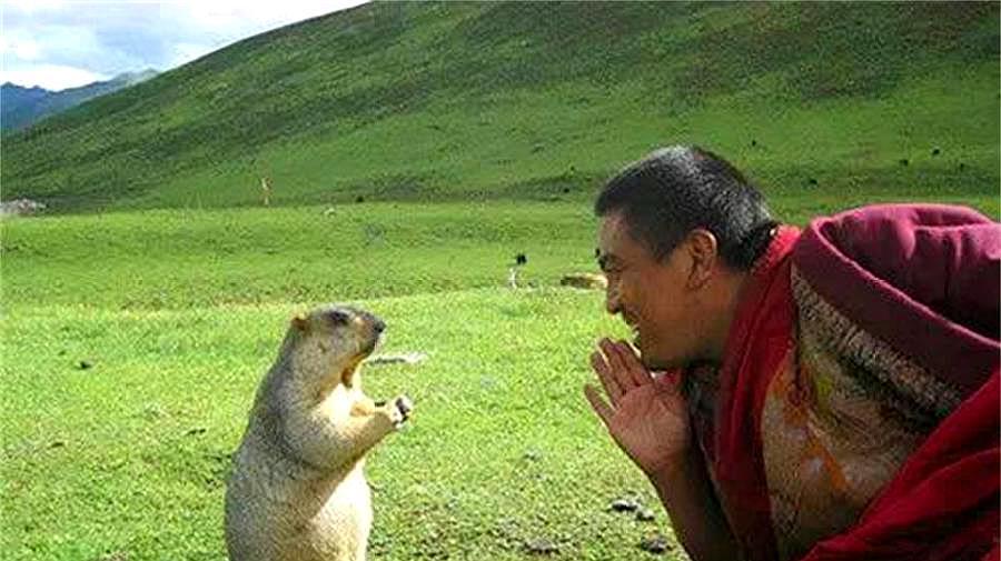 行善到底为了谁?女子放生动物,下一秒意外发生,镜头记录全过程