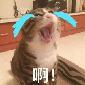 试客星球白嫖日记 