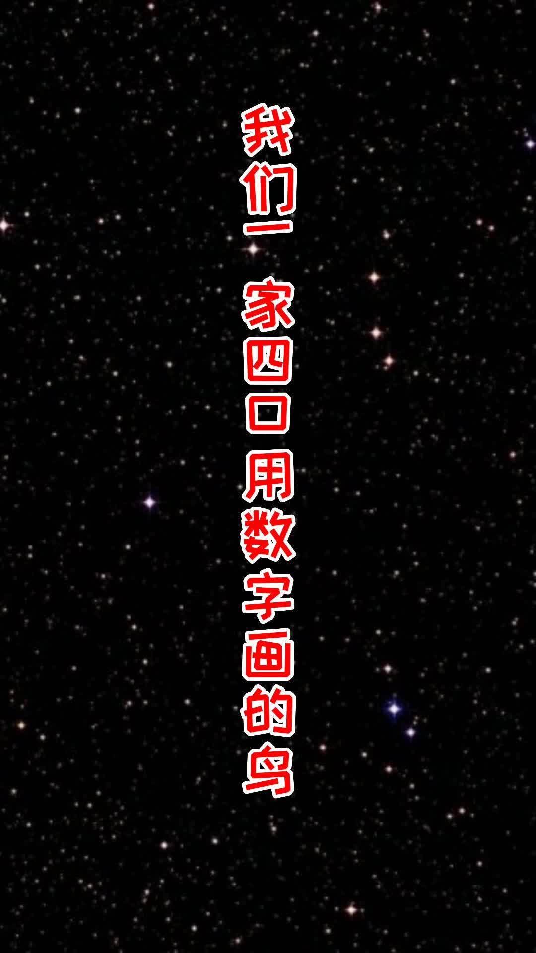 我们一家四口用数字画的小鸟,都好看!