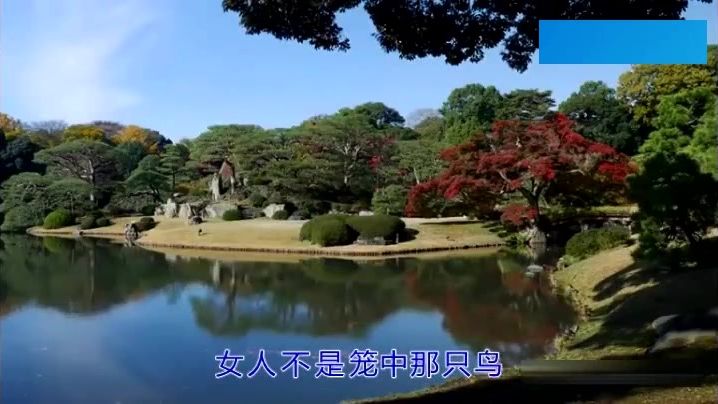 《女人不是月亮》毛阿敏经典歌曲,为什么十个女人九个傻