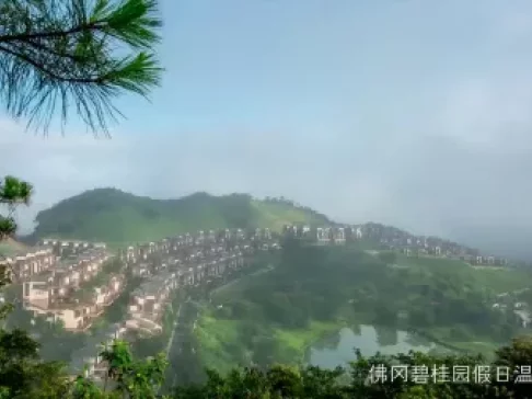 张家界碧桂园凤凰酒店形象宣传片96-1.P533.