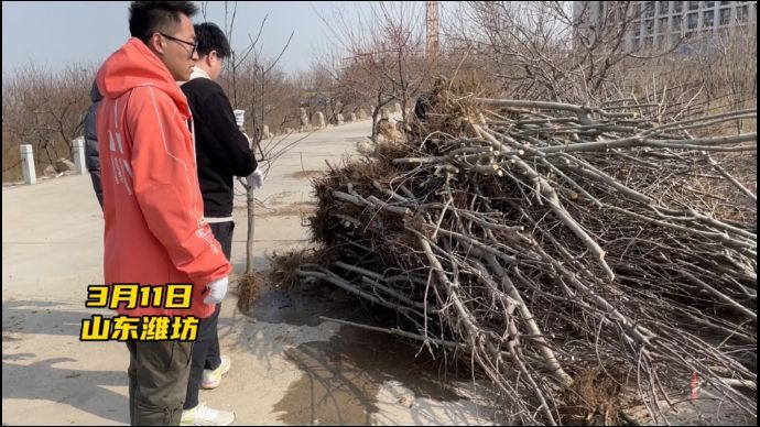 果然视频 | 植树节来啦,齐鲁晚报·齐鲁壹点带大家来植树啦