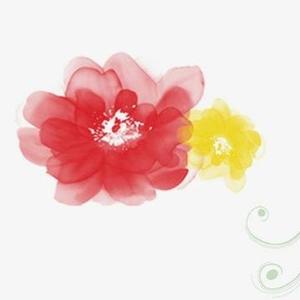 小张花卉园艺 