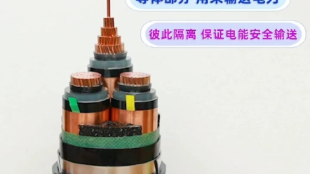20秒了解电力电缆的基本结构 #安全用电你我湘联