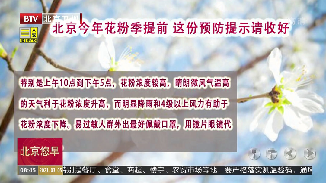 北京今年花粉季提前 这份预防提示请收好