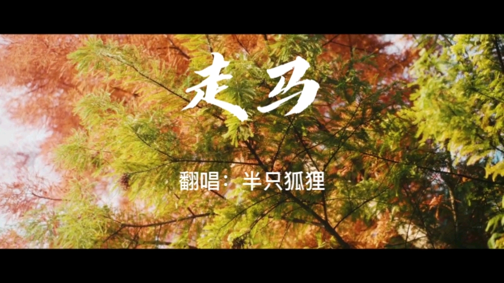 ...我冷淡 不够爱你 但等你成长后才发现 我一直在对岸等你成熟勇敢 但...
