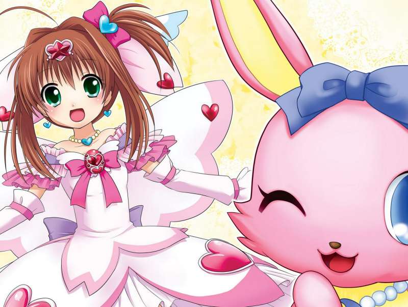 「秒懂百科」一分钟了解宝石宠物